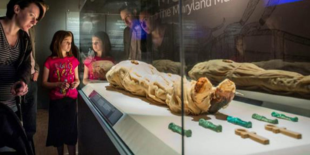 “Mr. Mummy” talks new mummy exhibition and research | Fox Business Video