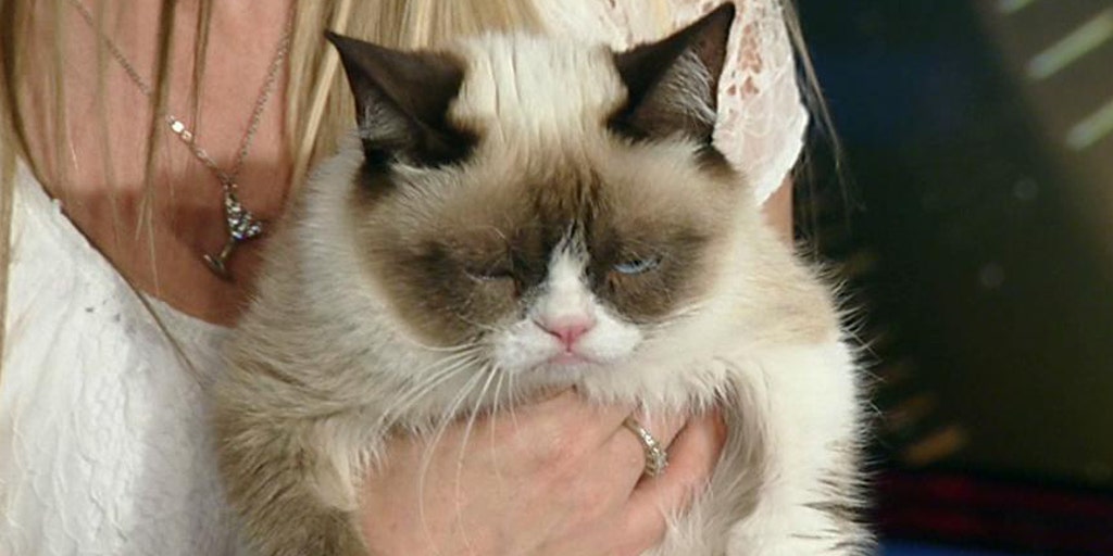 Why So Serious? Grumpy Cat Goes Big Time | Fox Business Video
