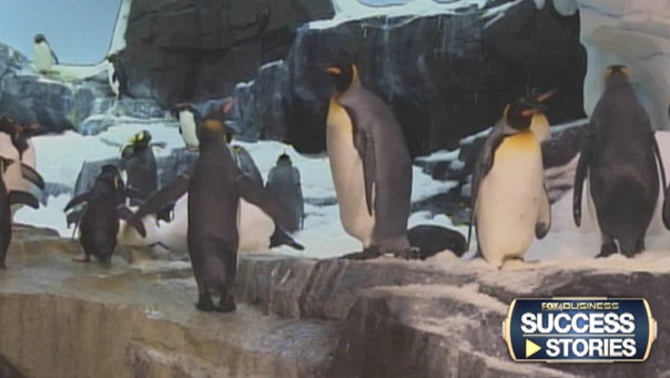 Parking Lot to C-Suite: SeaWorld CEO’s Splashy Success | Fox Business