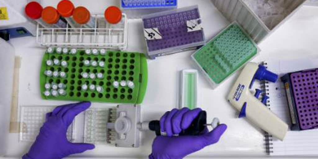 Understanding how the experimental drug ZMapp fights Ebola | Fox ...