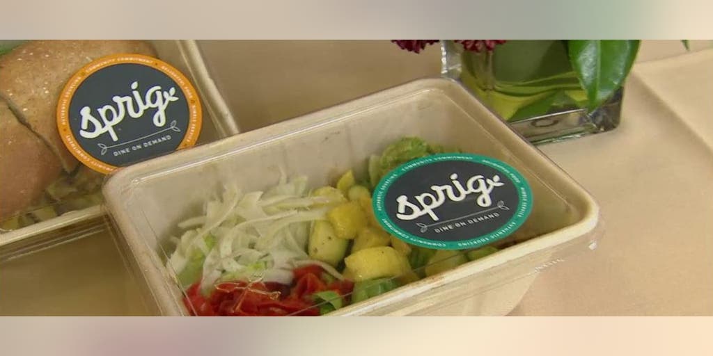 Sprig: The Uber of healthy food | Fox Business Video