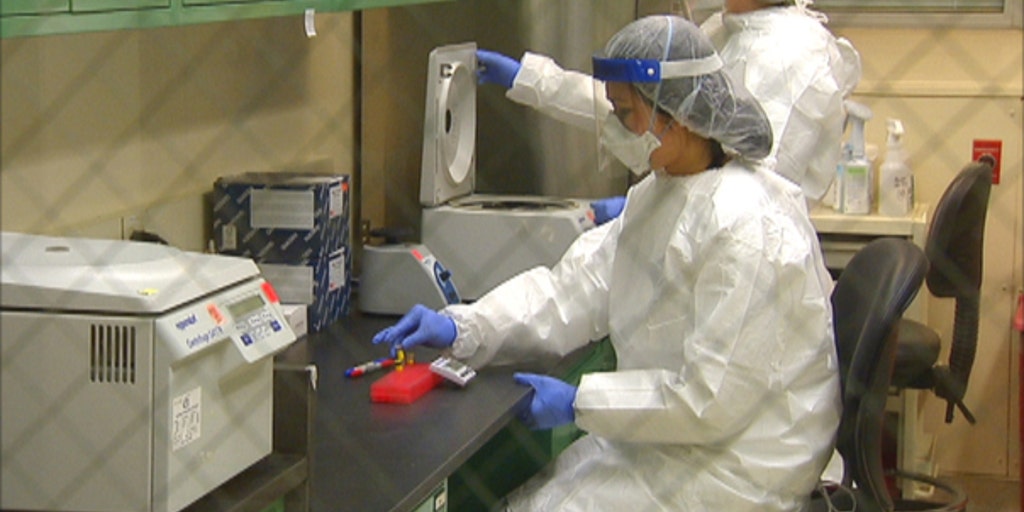 Ron Colburn: We don’t have a response for Ebola yet | Fox Business Video