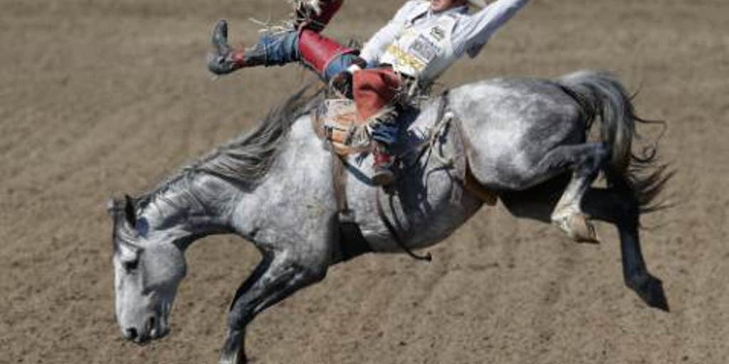 Jeff Medders on the 2014 National Finals Rodeo | Fox Business Video