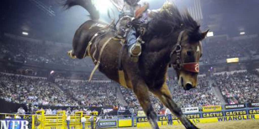 Joe Beaver on the 2014 National Finals Rodeo | Fox Business Video