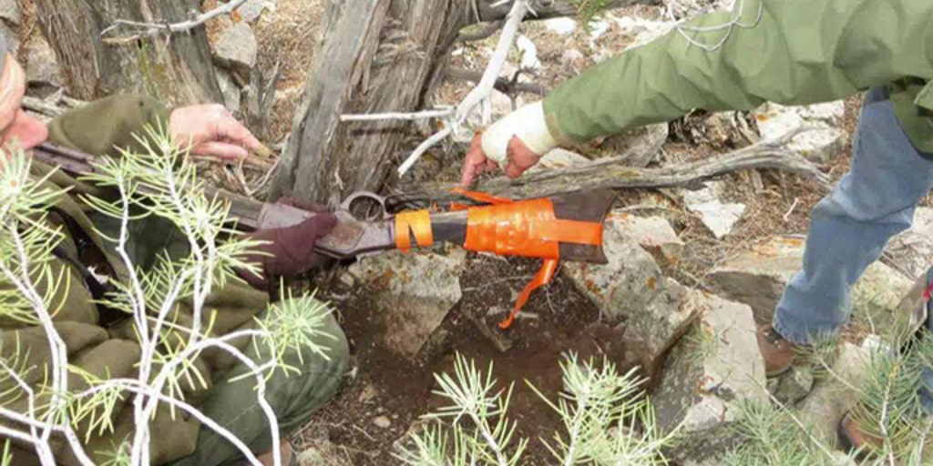 Archaeologists find 132-year-old rifle leaning against tree | Fox News ...