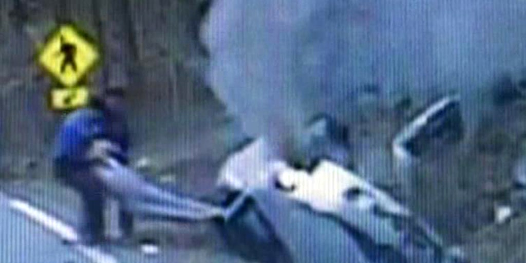 Hero cops save woman seconds before flames engulf car | Fox News Video