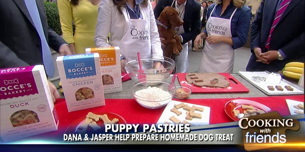 050815_jasper | Fox News Video