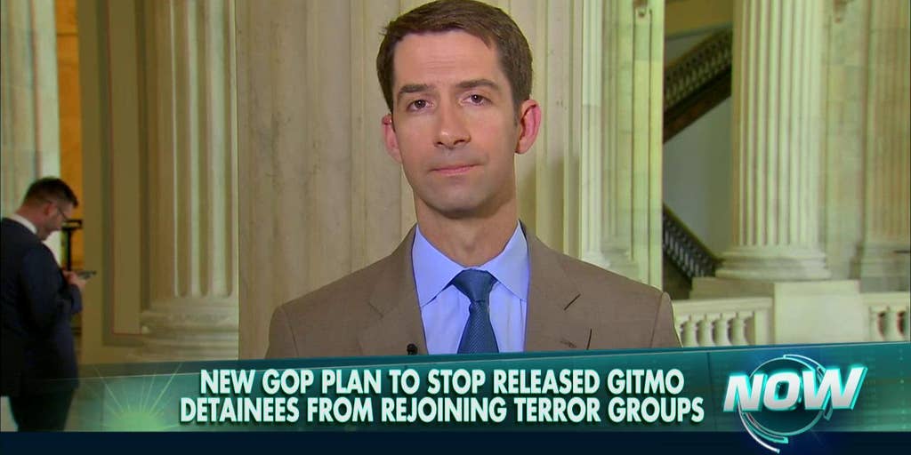 051915cotton Fox News Video