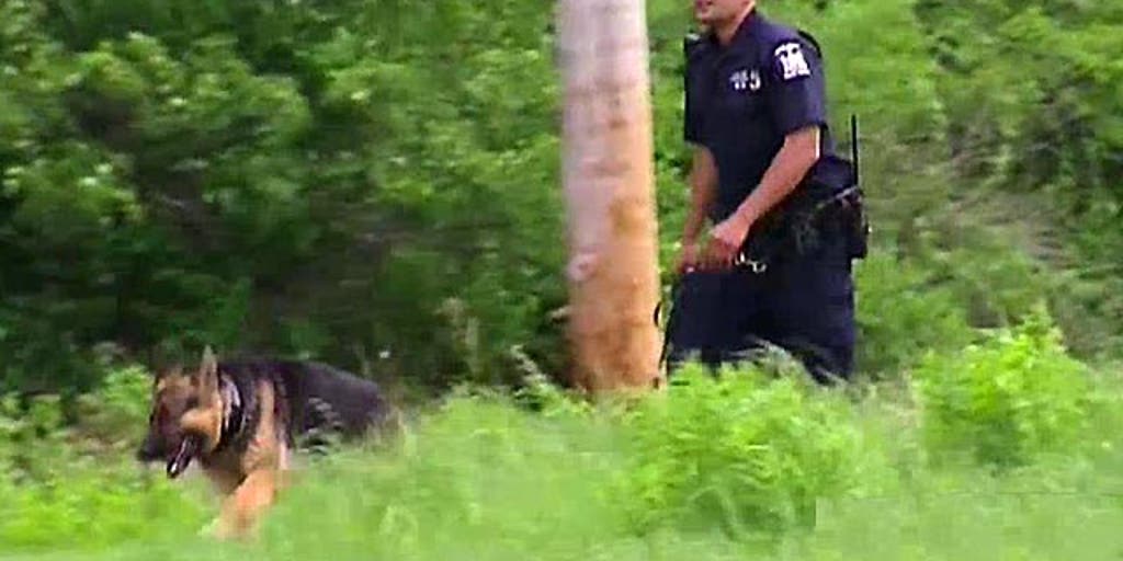 Inside The Forensics Of The Manhunt For Escaped Killers Fox News Video