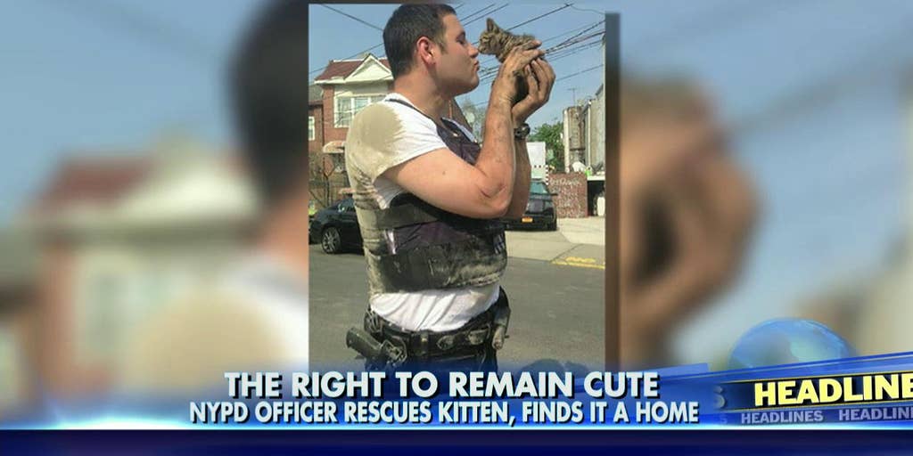 061415 Cop Fox News Video