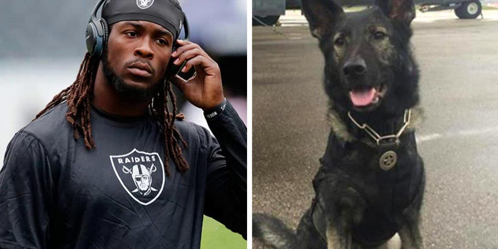 NFL player investigated for taunting police dog | Fox News Video