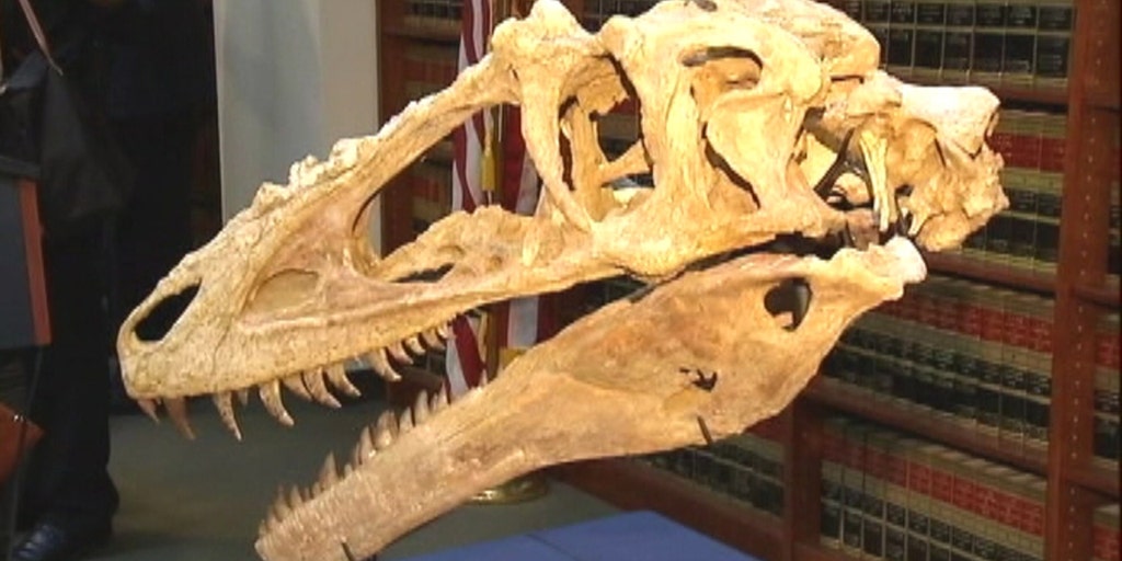 Valuable dinosaur fossils are finally heading home | Fox News Video