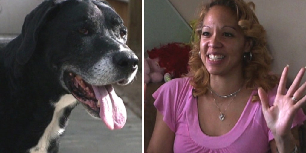'Dead' dog reunited with owner after 10 years | Fox News Video