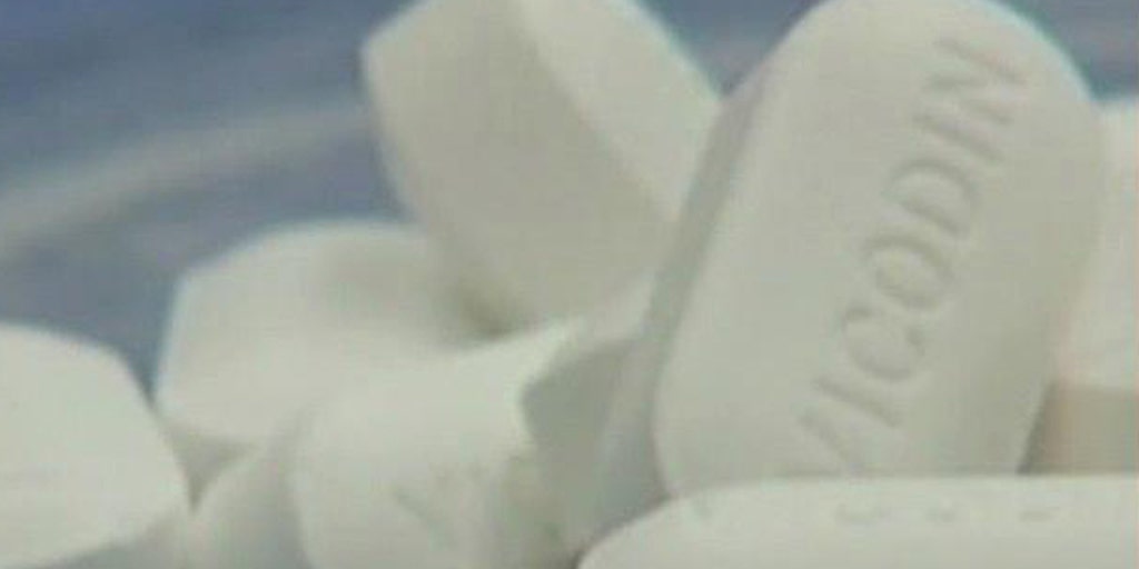 Plan to crack down on abuse of painkillers | Fox News Video