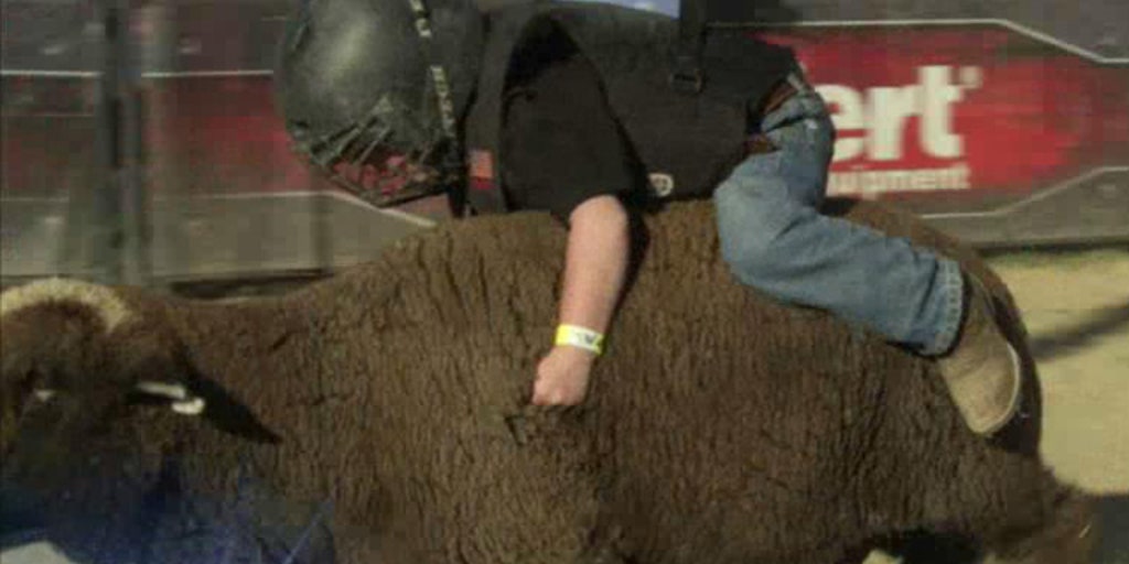 Mutton Bustin': Kids get ride of a lifetime | Fox News Video