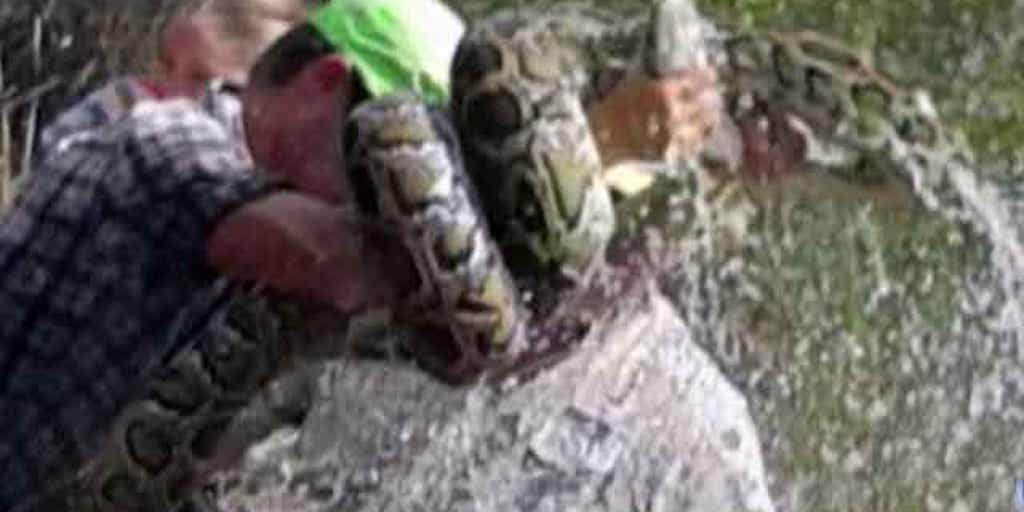 Massive snake caught during boat tour | Fox News Video