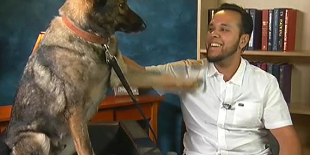 Marine Corporal Jose Armenta reunites with his military dog | Fox News ...