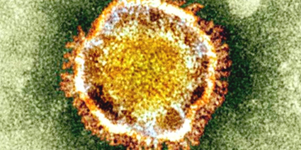 New killer virus, marijuana threat, kidney stone risk | Fox News Video