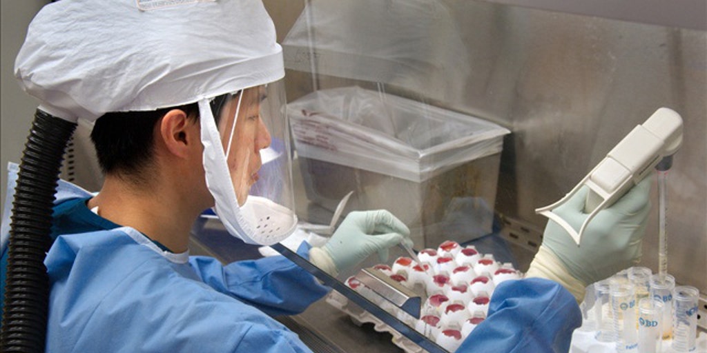 CDC lab workers may have been exposed to anthrax | Fox News Video