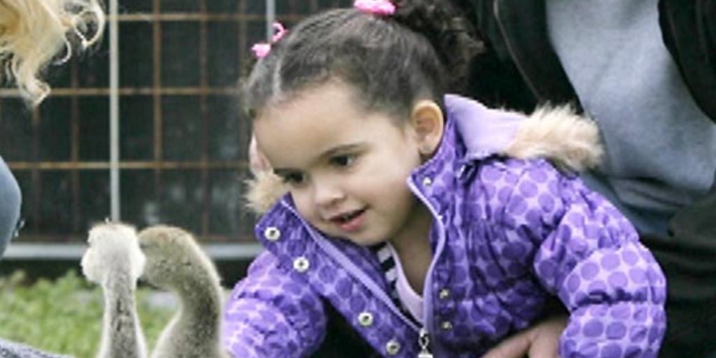 Law is 'unclear' in custody battle over baby Veronica | Fox News Video