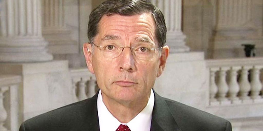 Barrasso on Syria strikes: 'What would success look like?' | Fox News Video