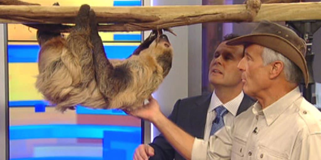 Fox Flash: Jack Hanna | Fox News Video