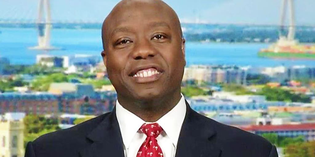 South Carolina elects first African-American to the Senate | Fox News Video