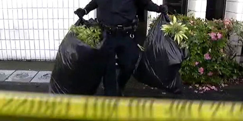 Massive Marijuana Bust Fox News Video