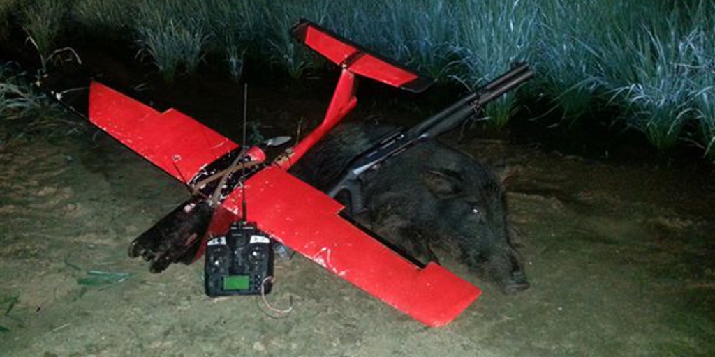 Drones used to hunt, kill feral pigs in Louisiana | Fox News Video