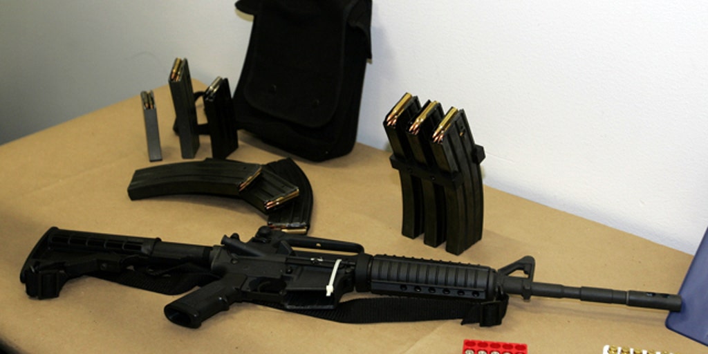 Multifaceted approach to the gun control debate | Fox News Video