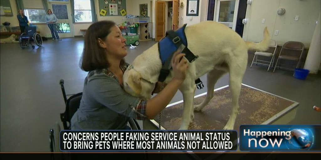 FNC Video | Fox News Video