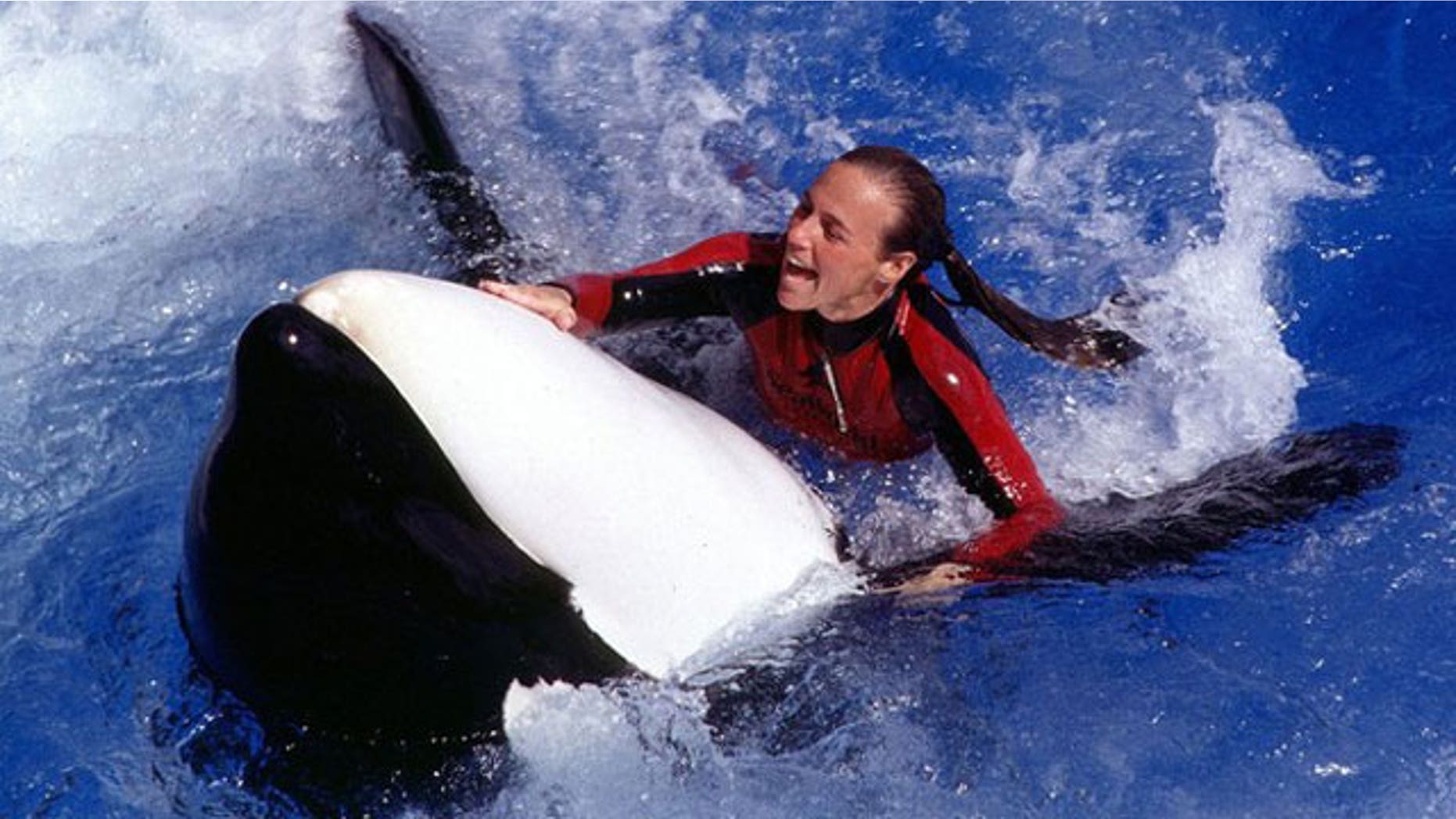 Autopsy: SeaWorld Trainer Died of Trauma, Drowning | Fox News Autopsy: SeaWorld Trainer Died of Trauma, Drowning | Fox News
