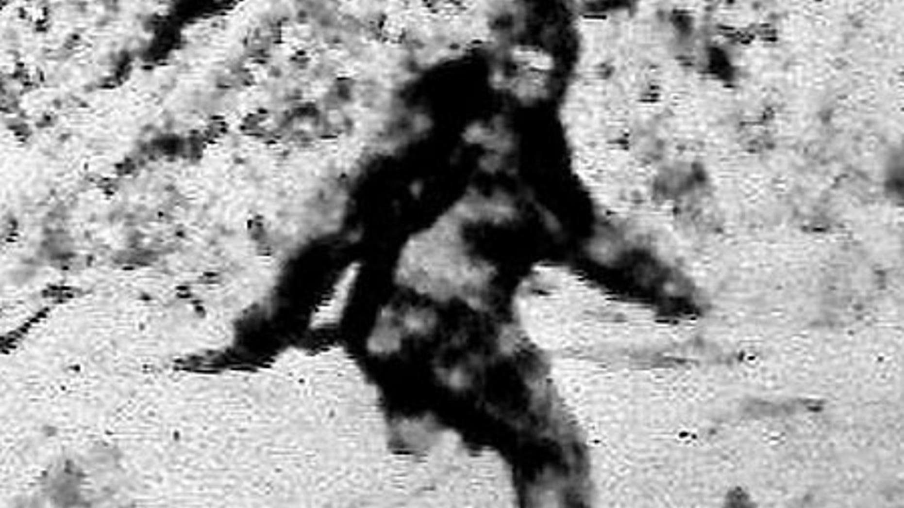 Hunter thought he was firing at Bigfoot, 'victim' tells police | Fox News Hunter thought he was firing at Bigfoot, 'victim' tells police | Fox News