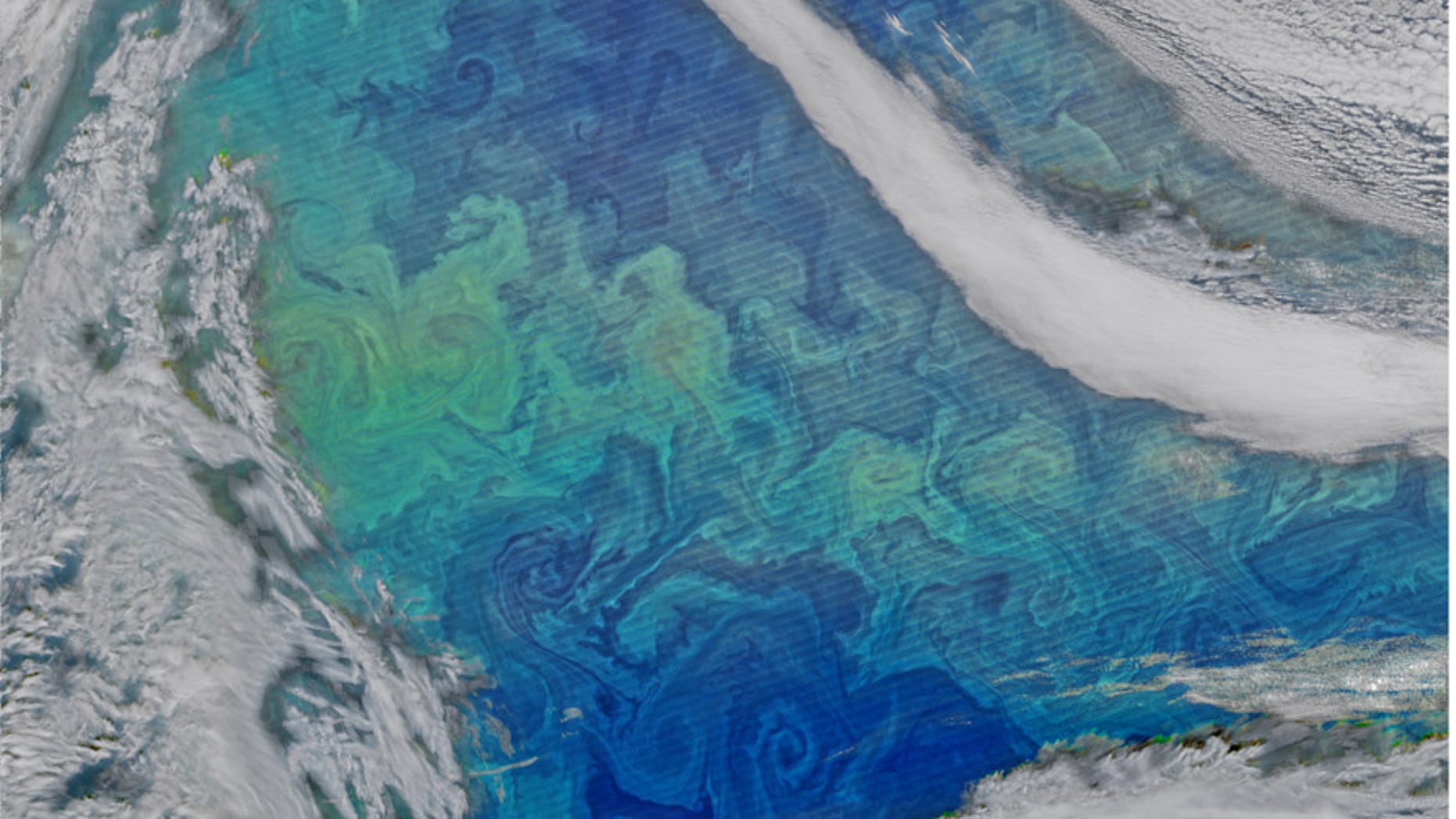 NASA releases stunning phytoplankton photo | Fox News NASA releases stunning phytoplankton photo | Fox News