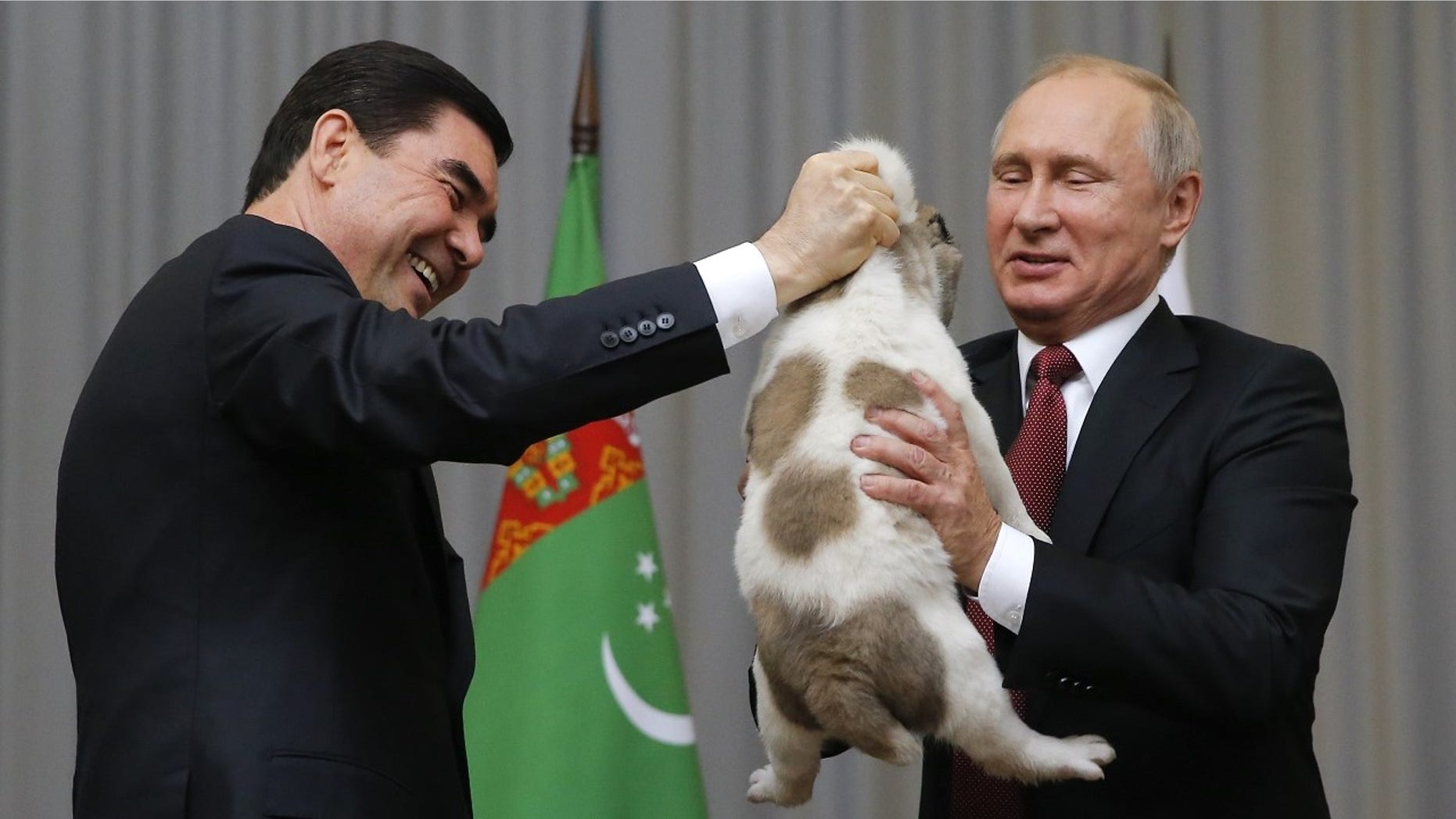 Vladimir Putin gets puppy for birthday from Turkmenistan's president ... Vladimir Putin gets puppy for birthday from Turkmenistan's president ...