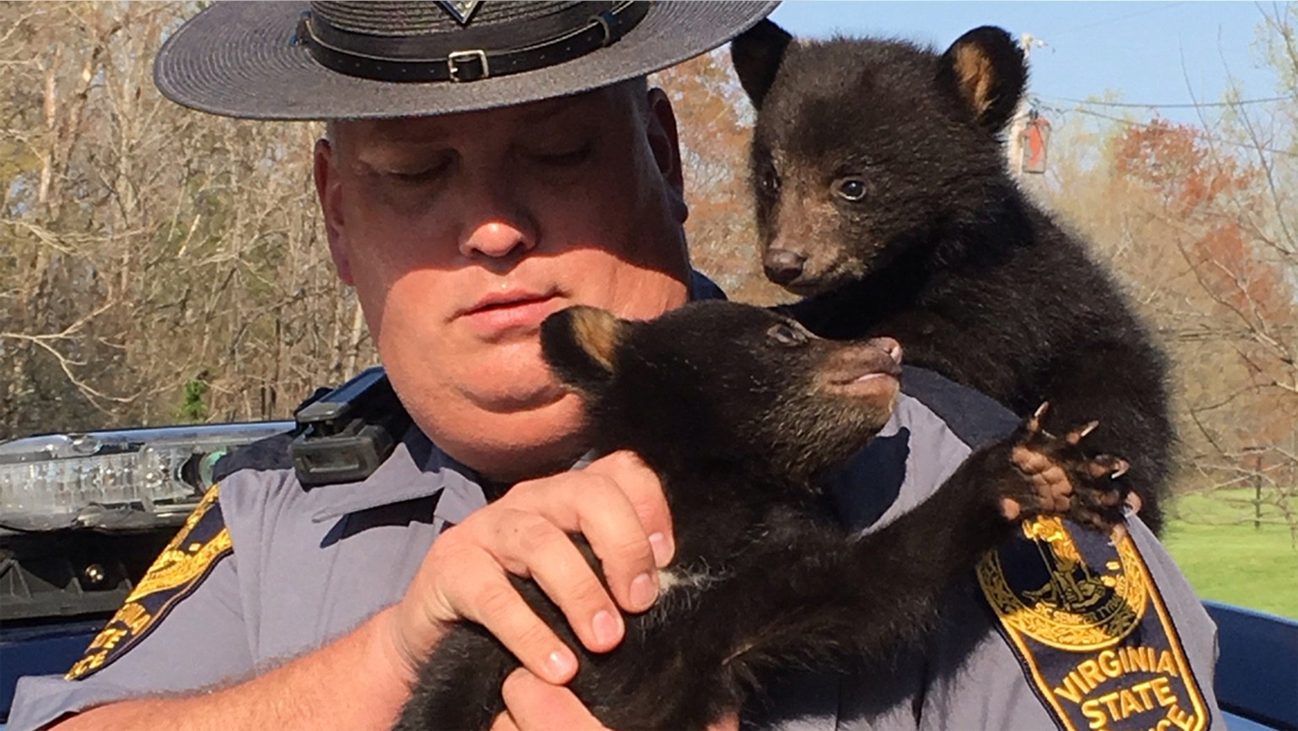 Black Bear Cubs Rescued By Virginia Trooper After Mother Killed In