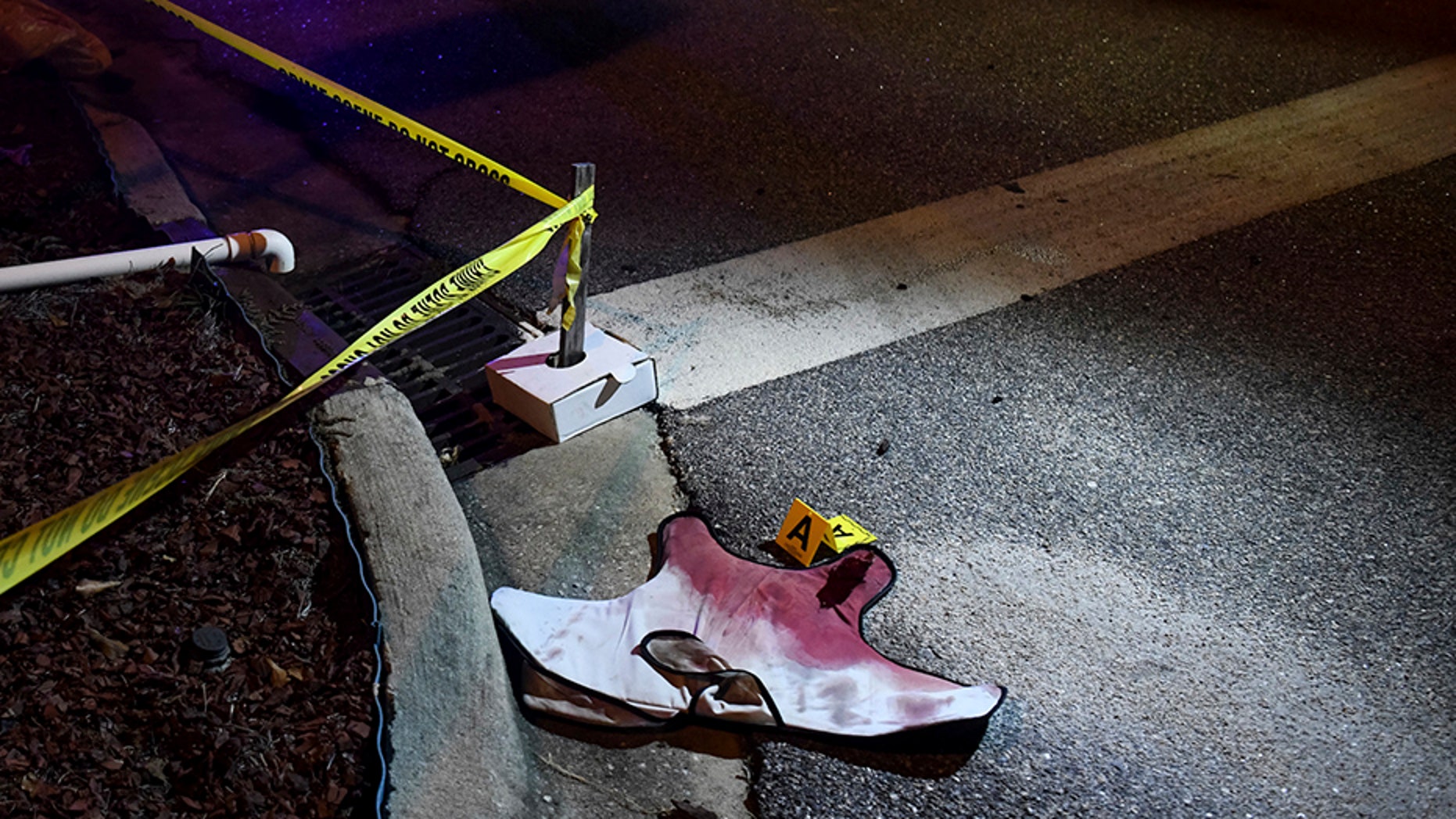 Disbarred Lawyer 74 Suspected Of Gunning Down South Carolina Cop