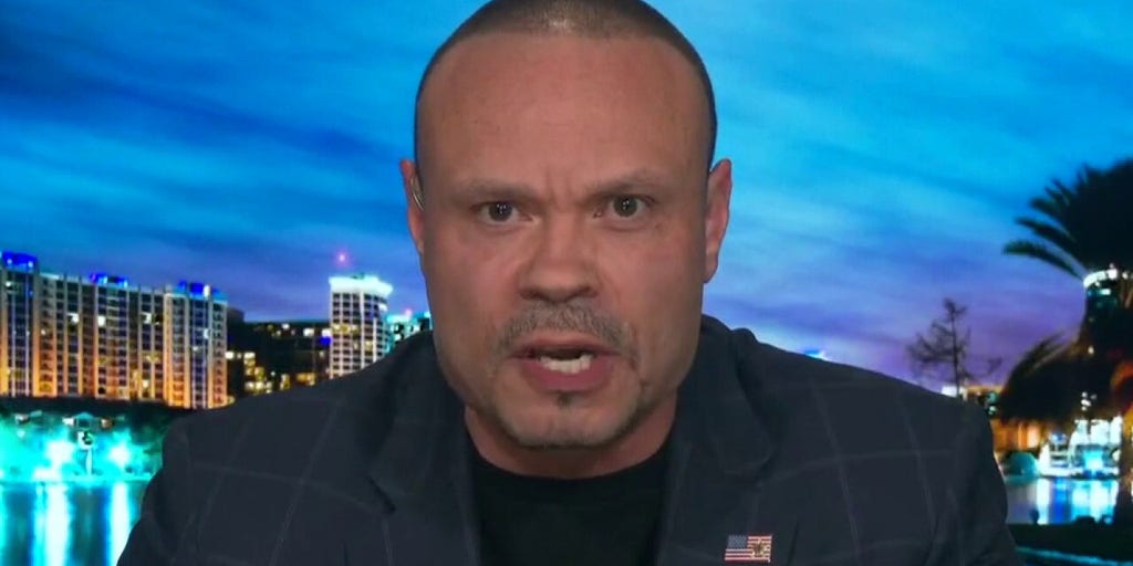 Bongino torches 'liberal intellectuals': They stereotype cops but no ...