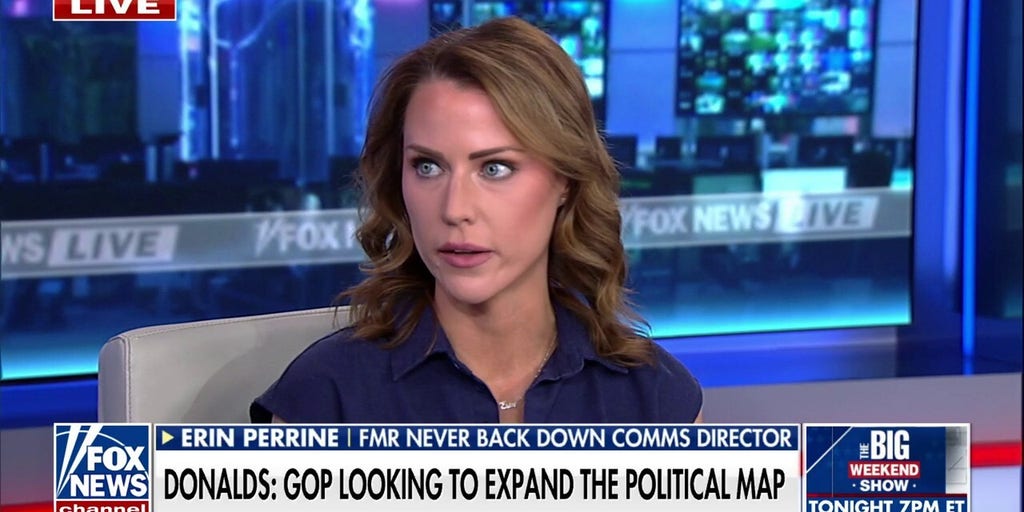 Trump should work on energizing his base, convincing swing voters: Erin ...