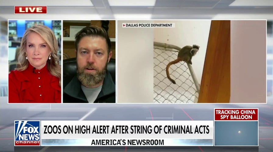 Dallas Zoo suspect accused of stealing two monkeys indicted for ... Dallas Zoo suspect accused of stealing two monkeys indicted for ...