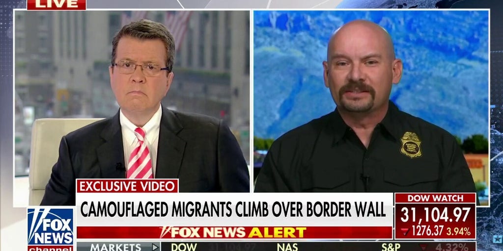 Border patrol agent on video of camouflaged migrants at border | Fox ...