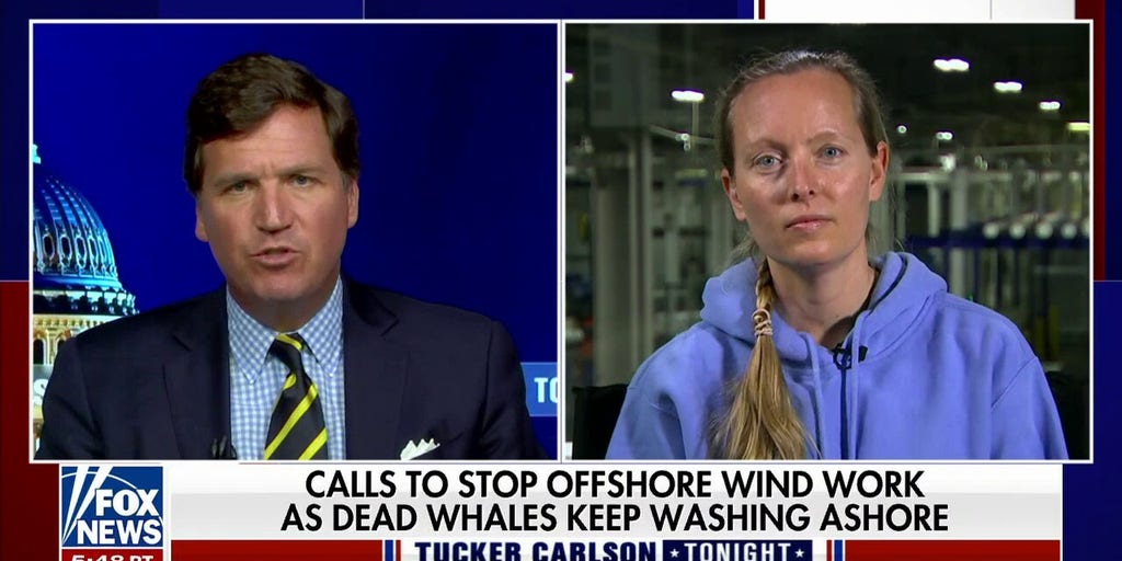 Are offshore windmills responsible for whales washing up dead? | Fox ...