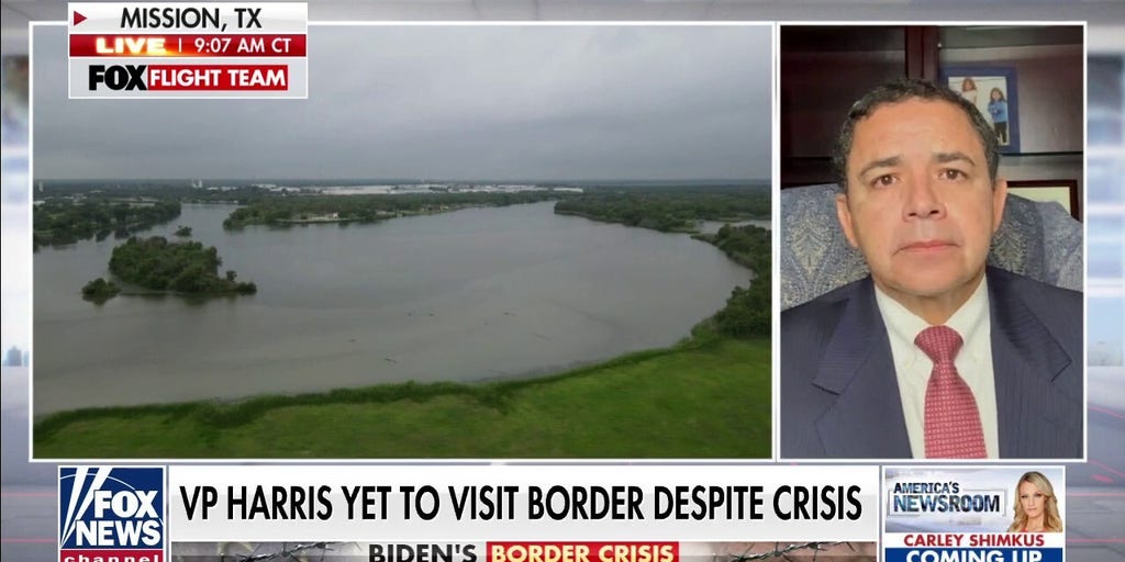 Vice President Harris tasked to handle border crisis yet has not been ...