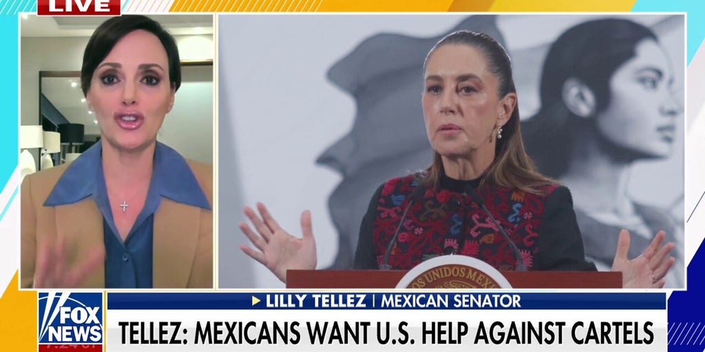 Mexican leaders want US help against cartels | Fox News Video