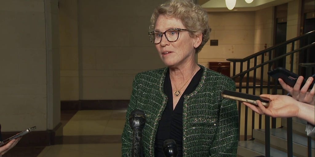 Rep. Chrissy Houlahan says evidence presented to her shows the drones ...