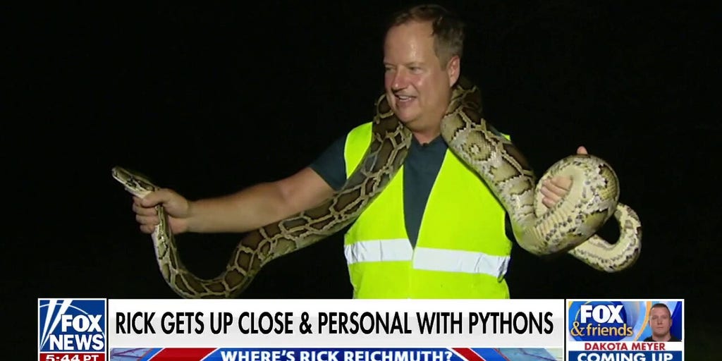 FOX Meteorologist Rick Reichmuth goes python hunting in The Everglades ...