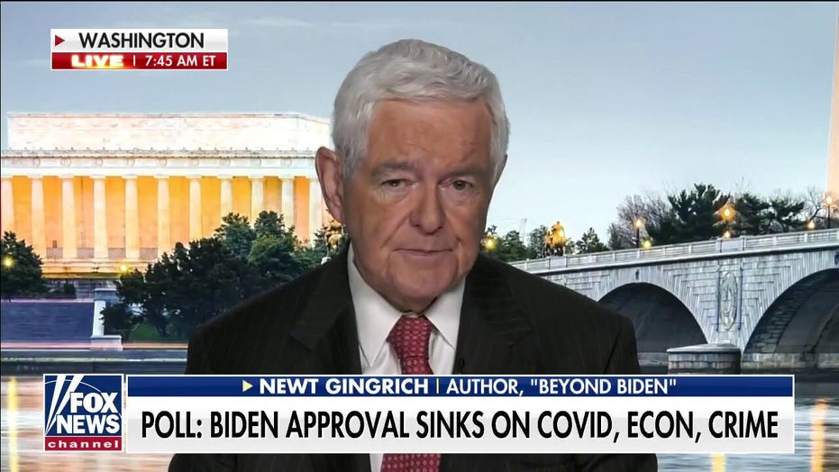 Newt Gingrich: Democrats trying to 'pay off their allies' before 2022 ... Newt Gingrich: Democrats trying to 'pay off their allies' before 2022 ...