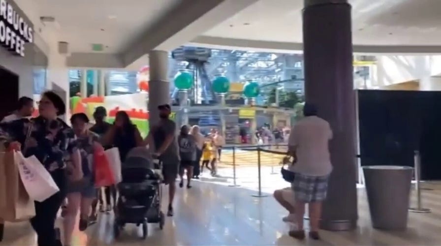 Mall of America shooting: Minnesota police arrest three; two suspects ... Mall of America shooting: Minnesota police arrest three; two suspects ...