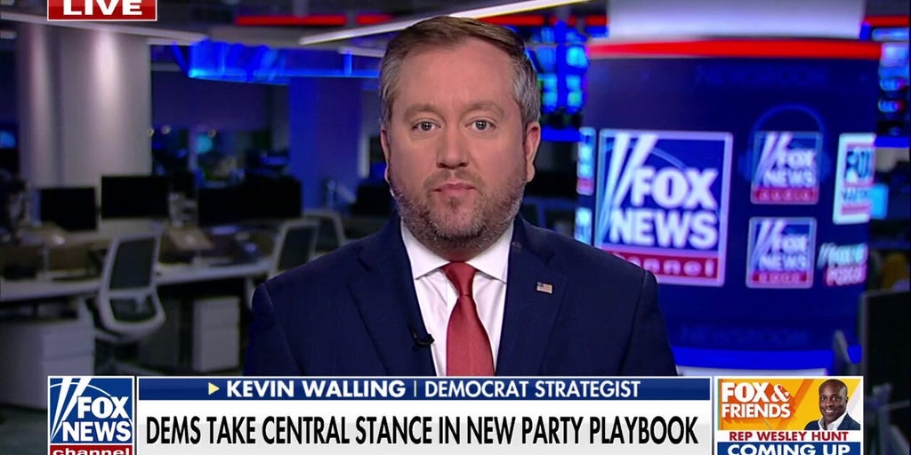 Democrat strategist stresses focus on the present: 'Who cares about ...