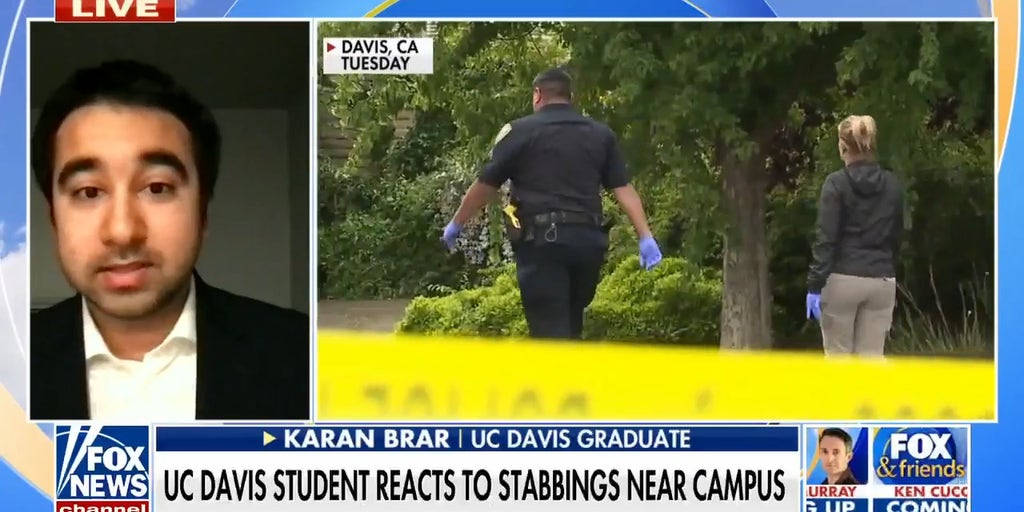 No arrests made after 3 stabbings near UC Davis campus | Fox News Video
